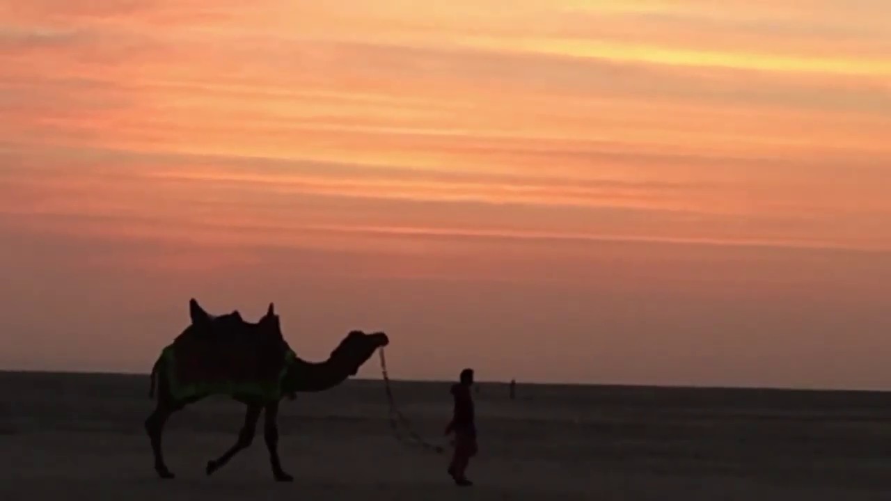 Sunrise in White Rann of Kutch | White Rann Sunrise | Sunrise with ...