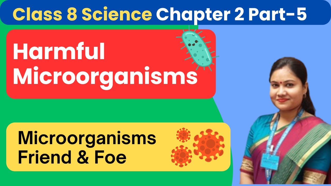 Part 5 | Harmful Microorganisms - Microorganisms Friend and Foe | Class ...