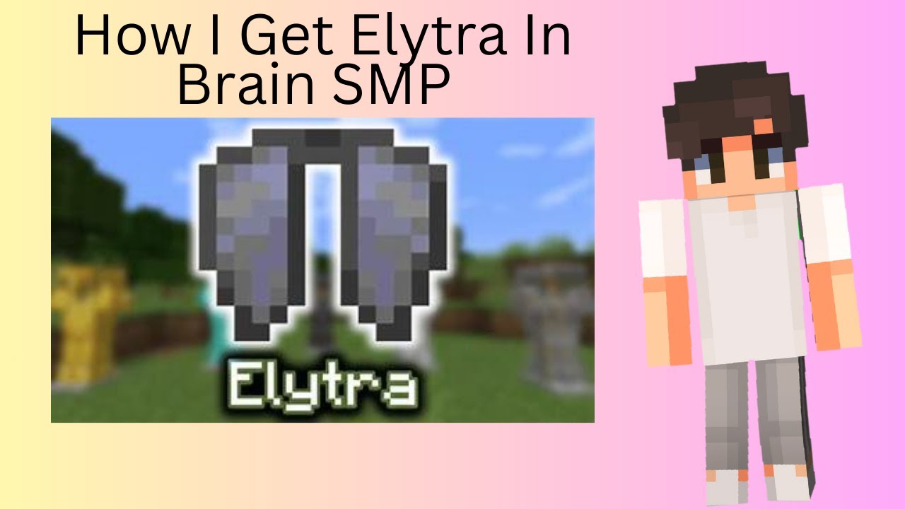 How I get Elytra in this Minecraft Smp - YouTube