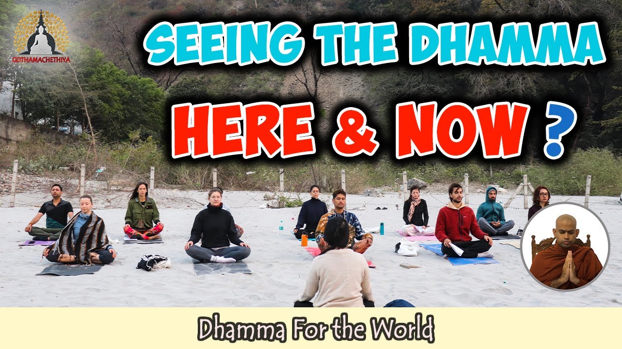 Seeing the Dhamma Here and Now! - YouTube