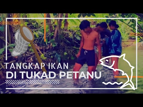 Basah-Basahan Tangkap Ikan: Makan-Makan di Pinggir Sungai