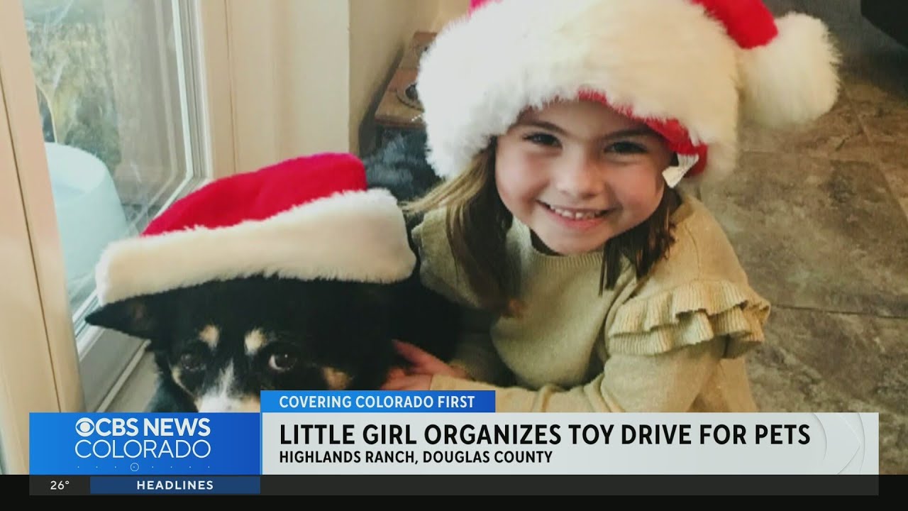 9-year-old's pet drive receives big community support - YouTube