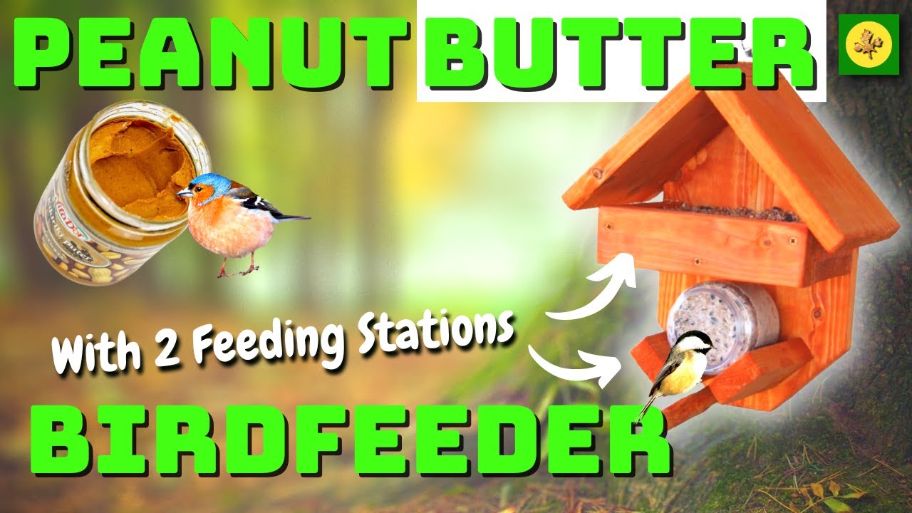 Peanut Butter Bird Feeder: How to build with Basic Tools - Easy DIY ...