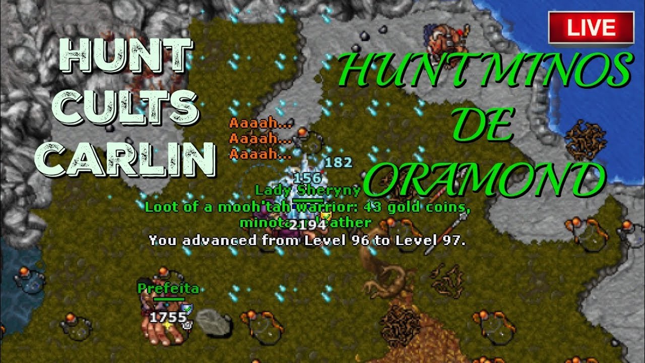 TIBIA🇧🇷 AO VIVO 🔴 hunt cults carlin e mino oramond - YouTube