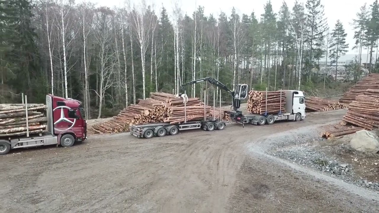 Loading a load of Timber on two Timbertrucks #10 Droneview - YouTube
