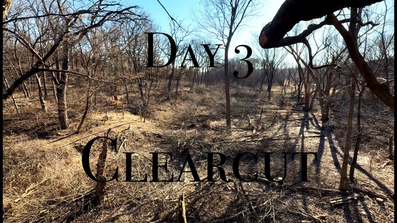 Clearcut Day 3! - YouTube