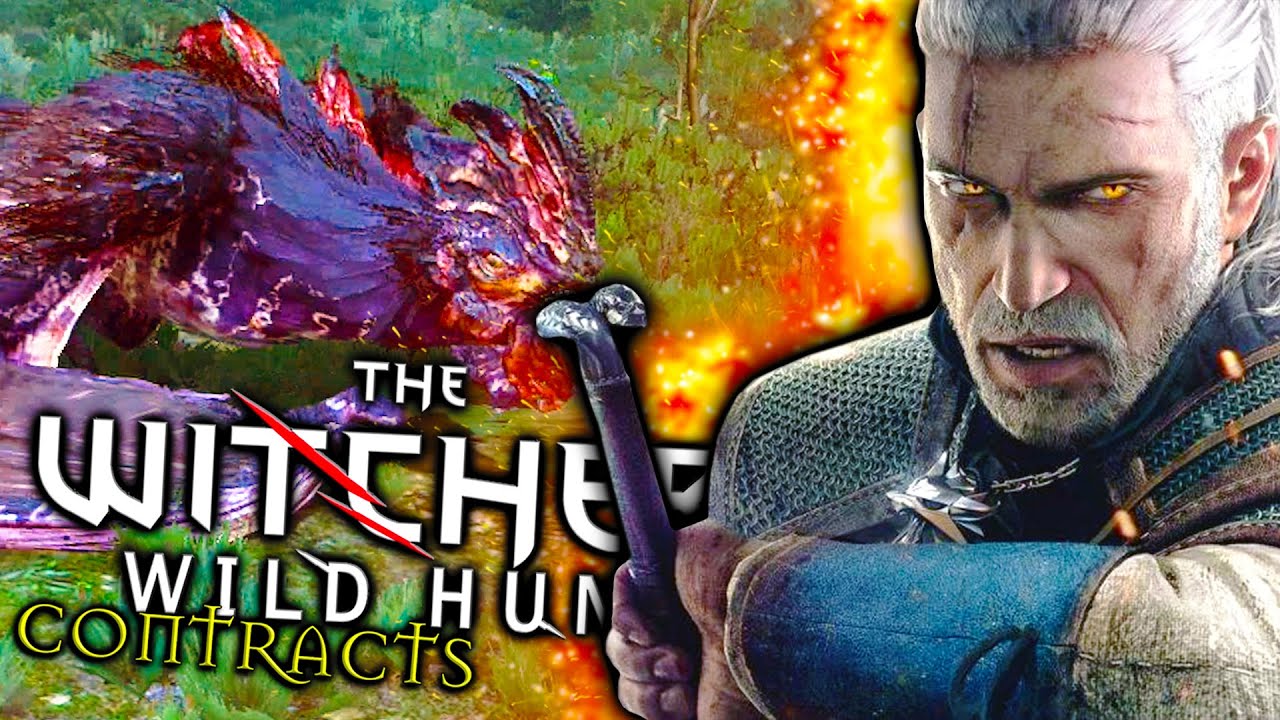 THE WITCHER 3: WILD HUNT - CONTRACTS | The Chicken-Dragon (Funny ...