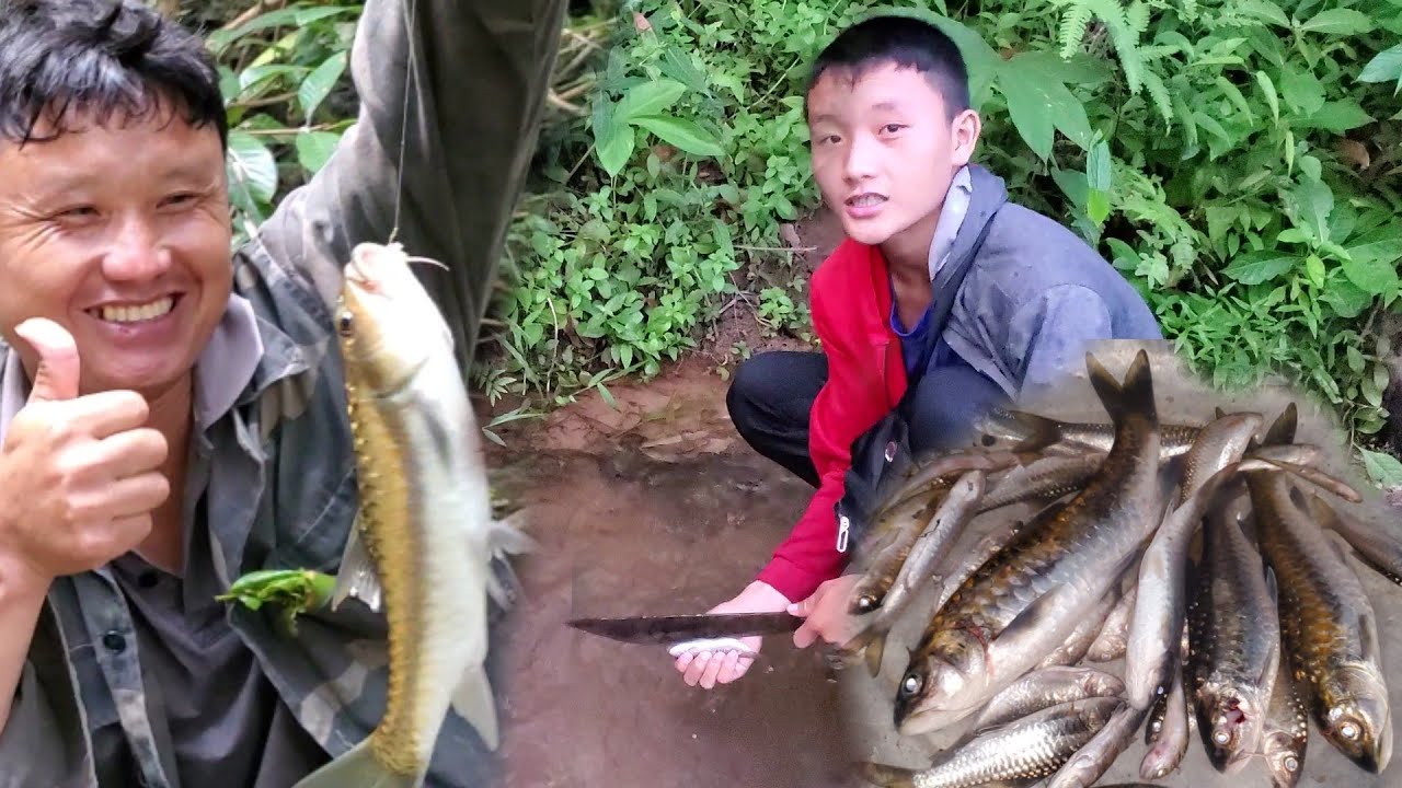 coj kuv tus tub mus nuv ntses coob kawg thiab - YouTube