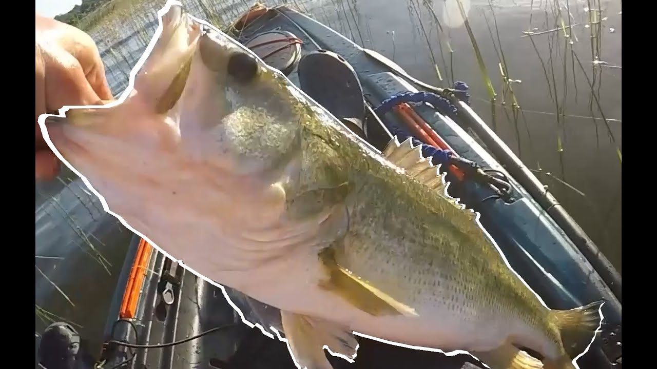 Getting Lake Weir'd on the Kayak - A Fishing Medley ft. Big Bass ...