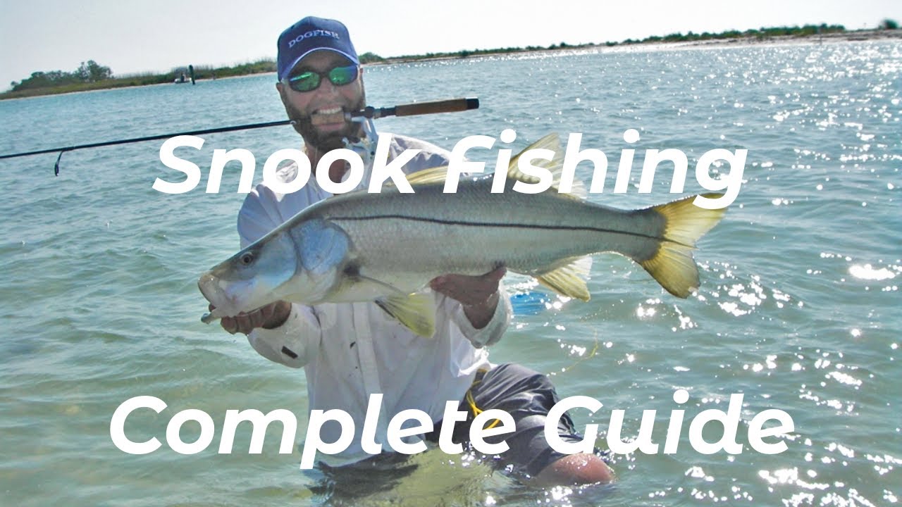 Catch Big Snook In The Surf - Complete Guide - YouTube