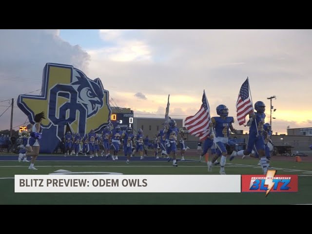Odem Owls