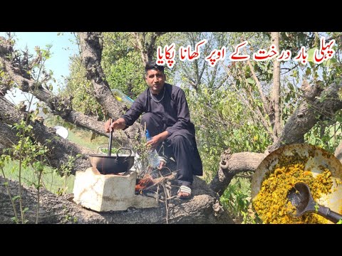 Cooked food on top of a tree for the first time - YouTube