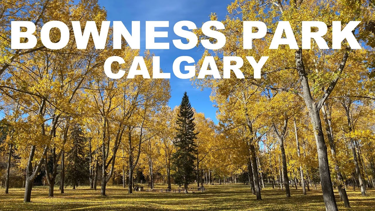 Calgary Alberta Canada | Bowness Park WALK - YouTube
