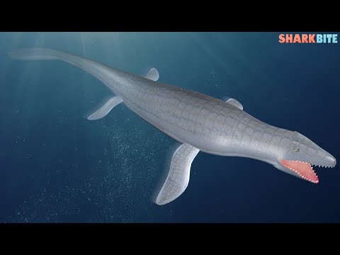 Roblox - SharkBite, Mosasaur. Prowadzę Titanica!! - YouTube