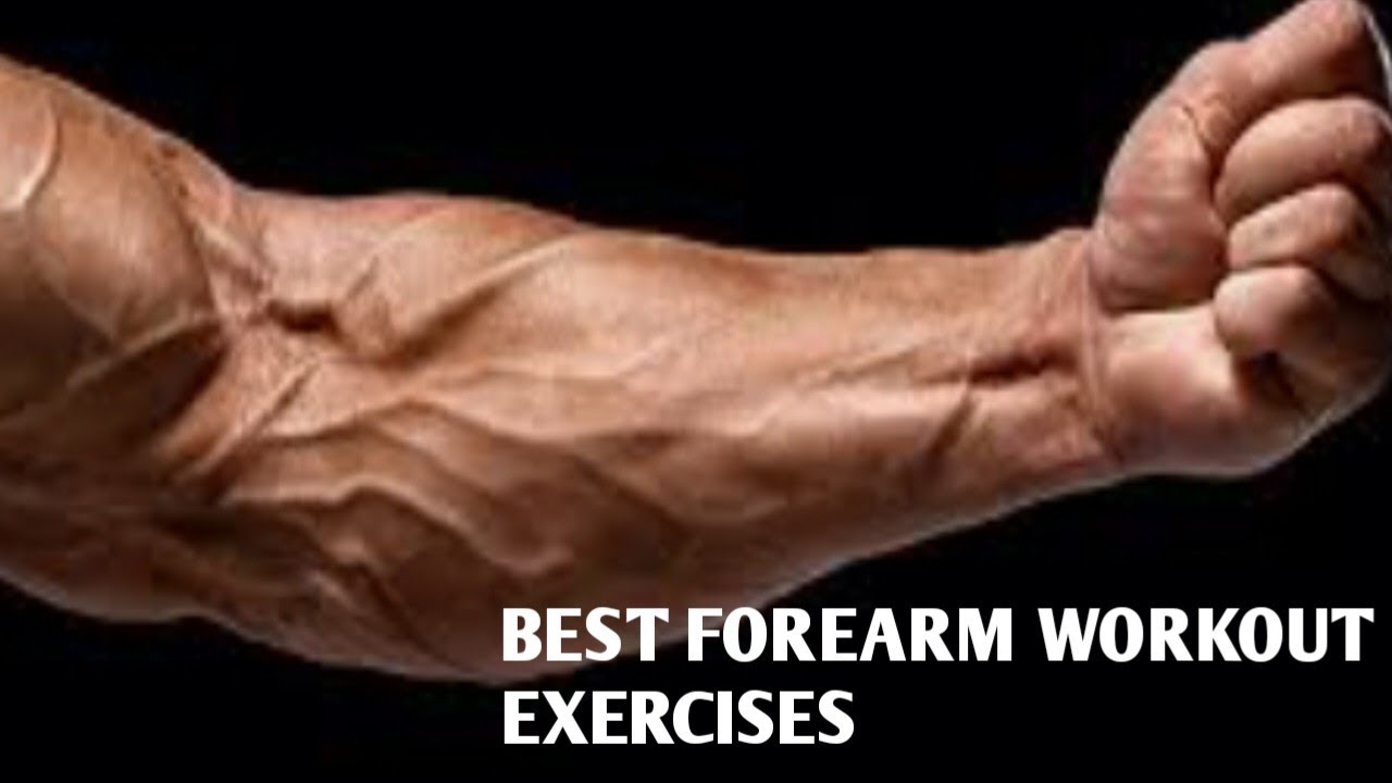 BEST FOREARM WORKOUT EXERCISES - YouTube