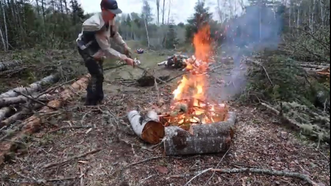 Real Progress At Our Off-Grid Property (Crazy bugs, cutting trees ...