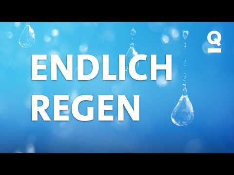 DAS reicht nicht | Studio Q