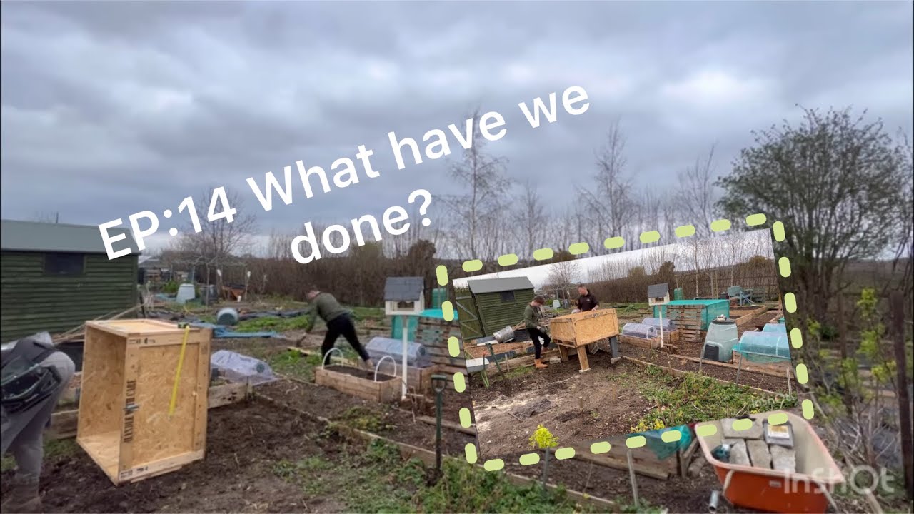 14: New strawberry box, clearing the new plot. The greenhouse. - YouTube
