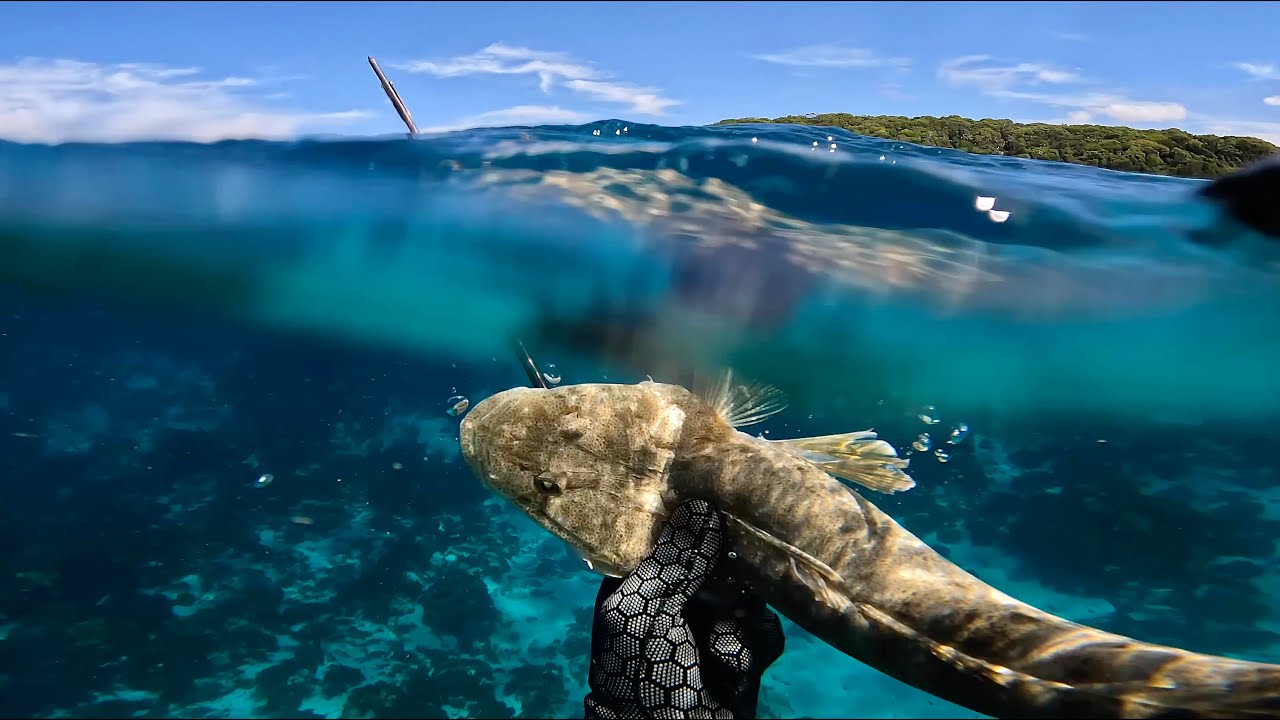Dusky Flathead Spearfishing and Fish Tacos - Catch and Cook - Shore ...