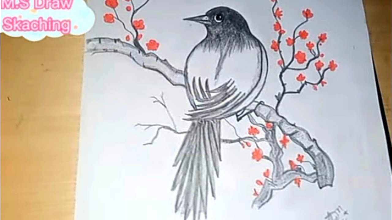 How to draw a Bird scenery|| pencil drawing||easy Sketching for ...