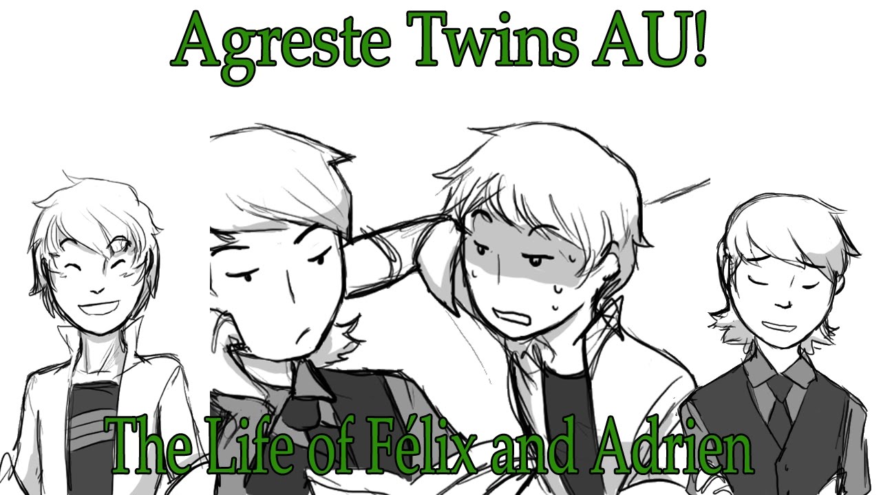 [Miraculous Ladybug Comic Dub] Agreste Twins AU! | The Life of Félix ...