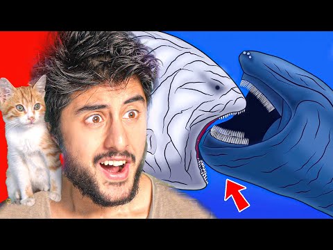 ŞİŞKO BLOOP vs EL GRAND MAJA!! (Sürpriz Konuk)
