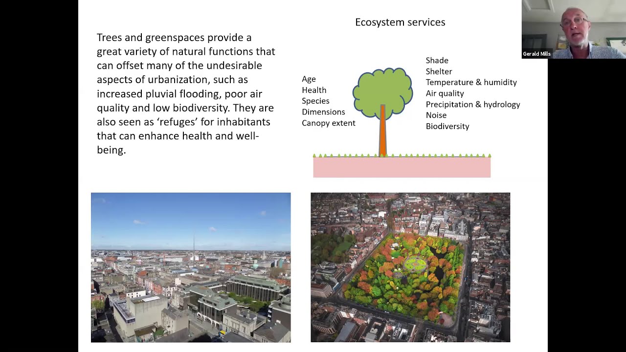 Green spaces, urban places: The Mapping Green Dublin Project - YouTube