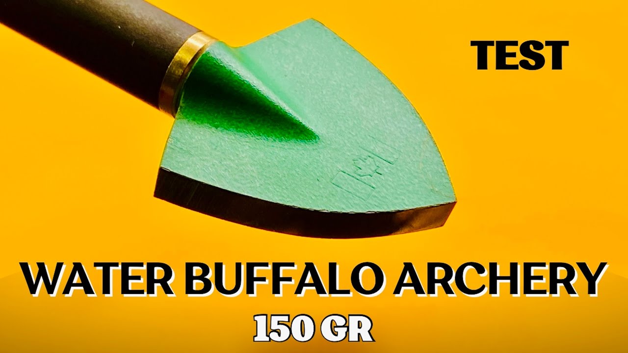 WATER BUFFALO 150 gr: BROADHEAD TEST - YouTube