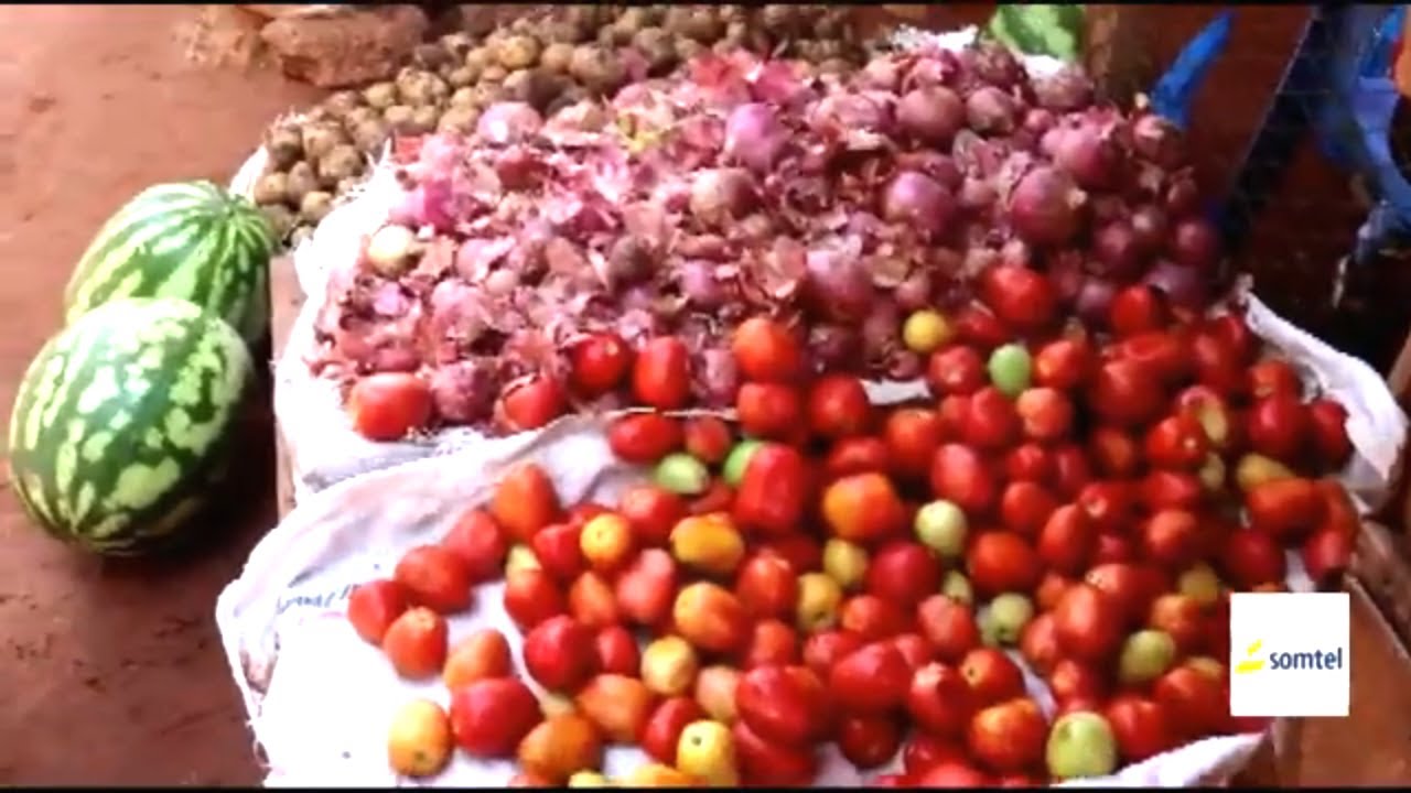 Buhoodle Qiimaha Khudaarta Oo Sare Ukac Kuyimi Xili Bisha Barakaysan Ee ...