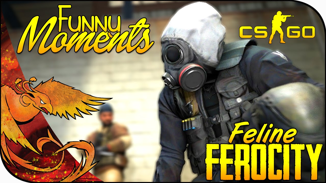 CS:GO Funny Moments │ Feline Ferocity (CS GO Funtage) - YouTube