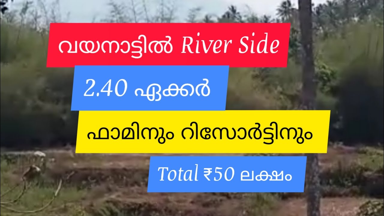 2.40 Acre Farm Resort Land On River Side For Sale | Wayanad (total 50 ...