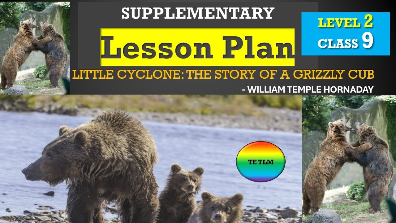 Lesson plan for class 9 supplementary little cyclone| English lesson ...