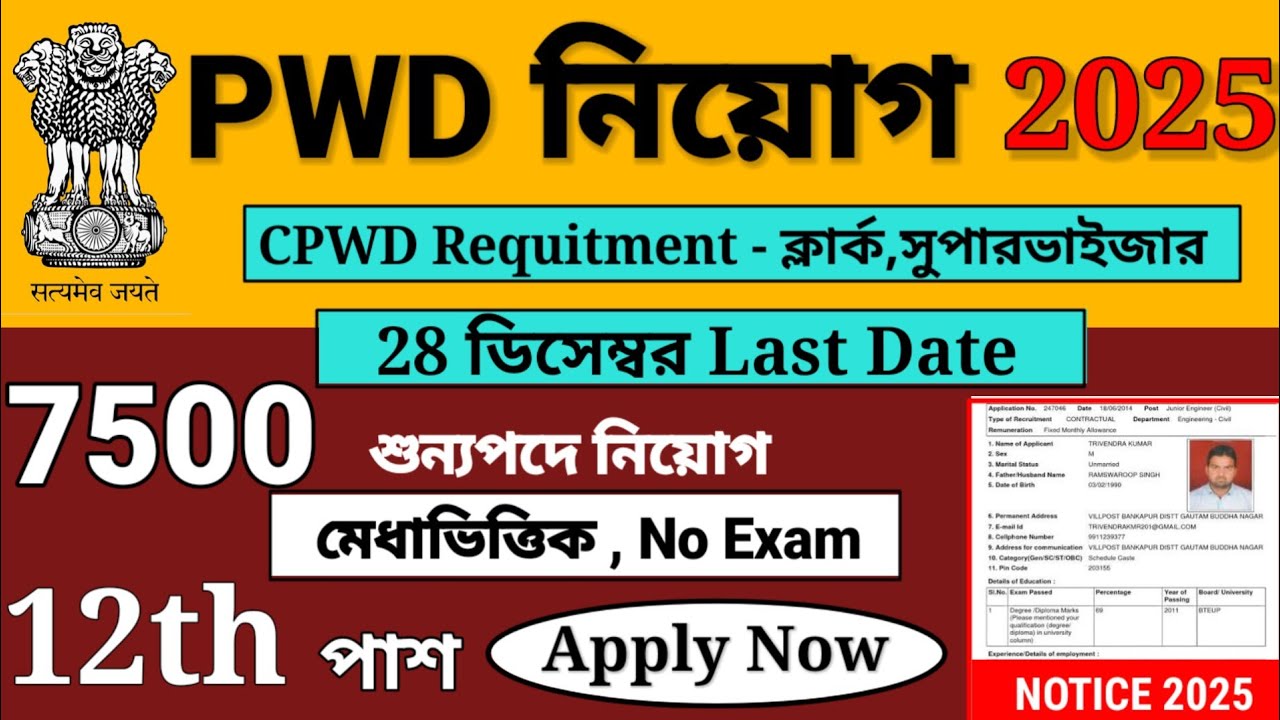 pwd requirement 2025, PWD Vacancy 2025 | Latest Government Jobs 2025 ...