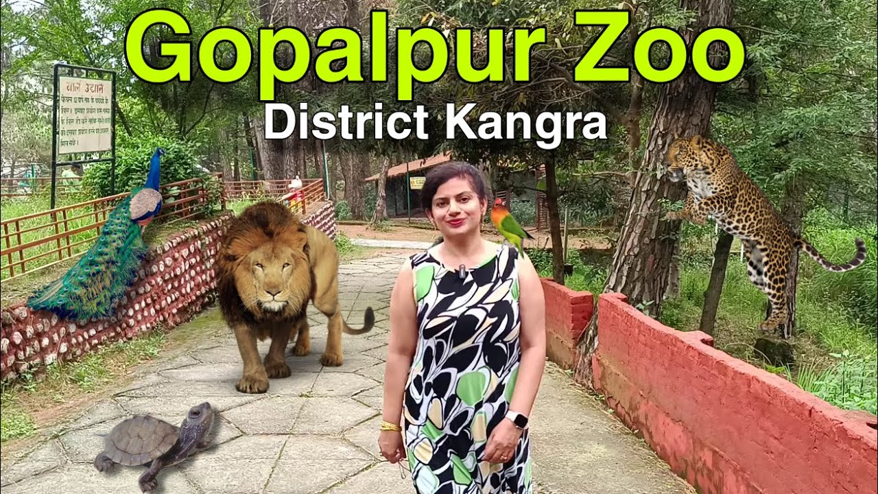 Gopalpur Zoo | Dhauladhar Nature Park | Kangra | Himachal Pradesh - YouTube