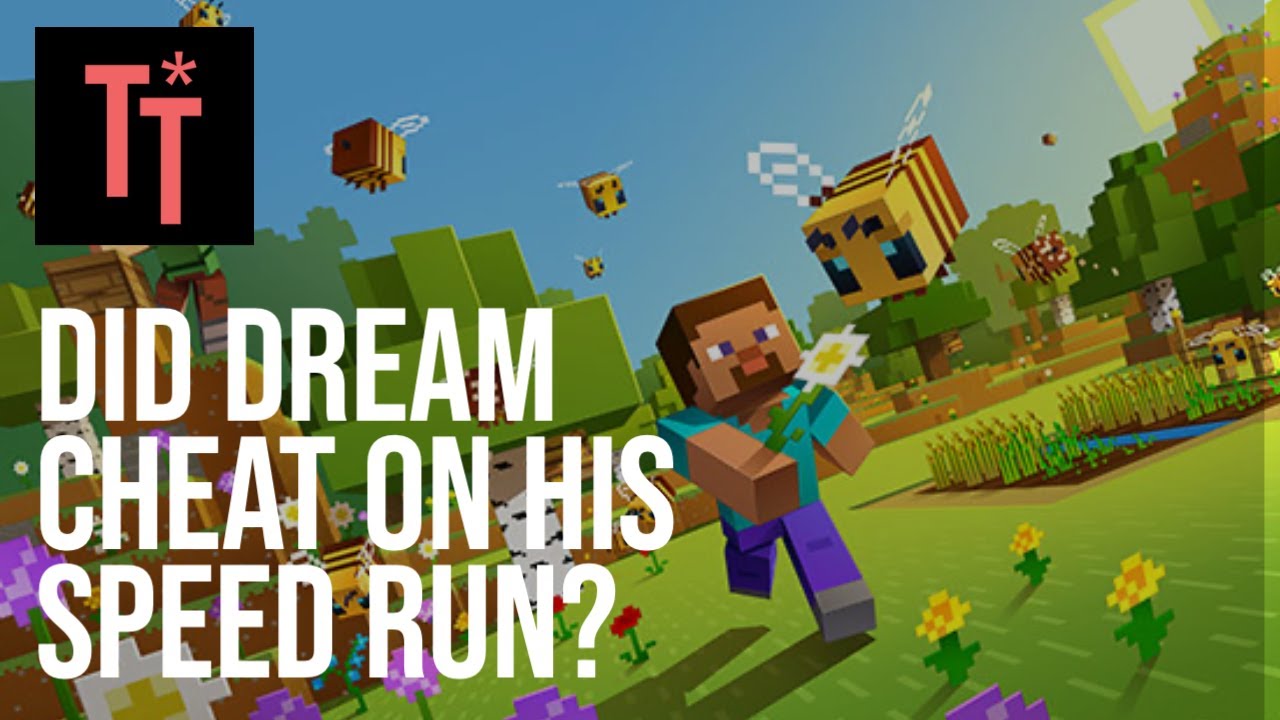 Did Dream Cheat? (Sub-Points) - YouTube