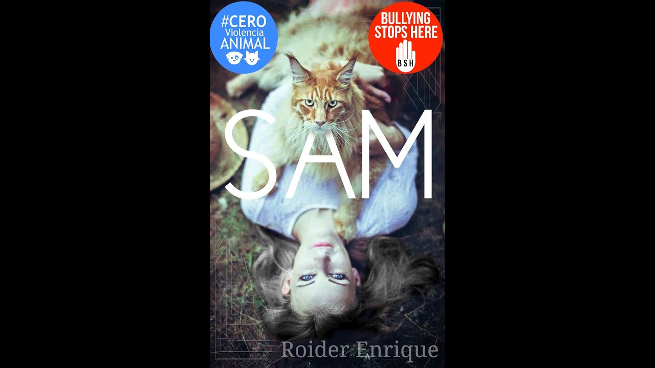 SAM //Booktrailer Official - YouTube