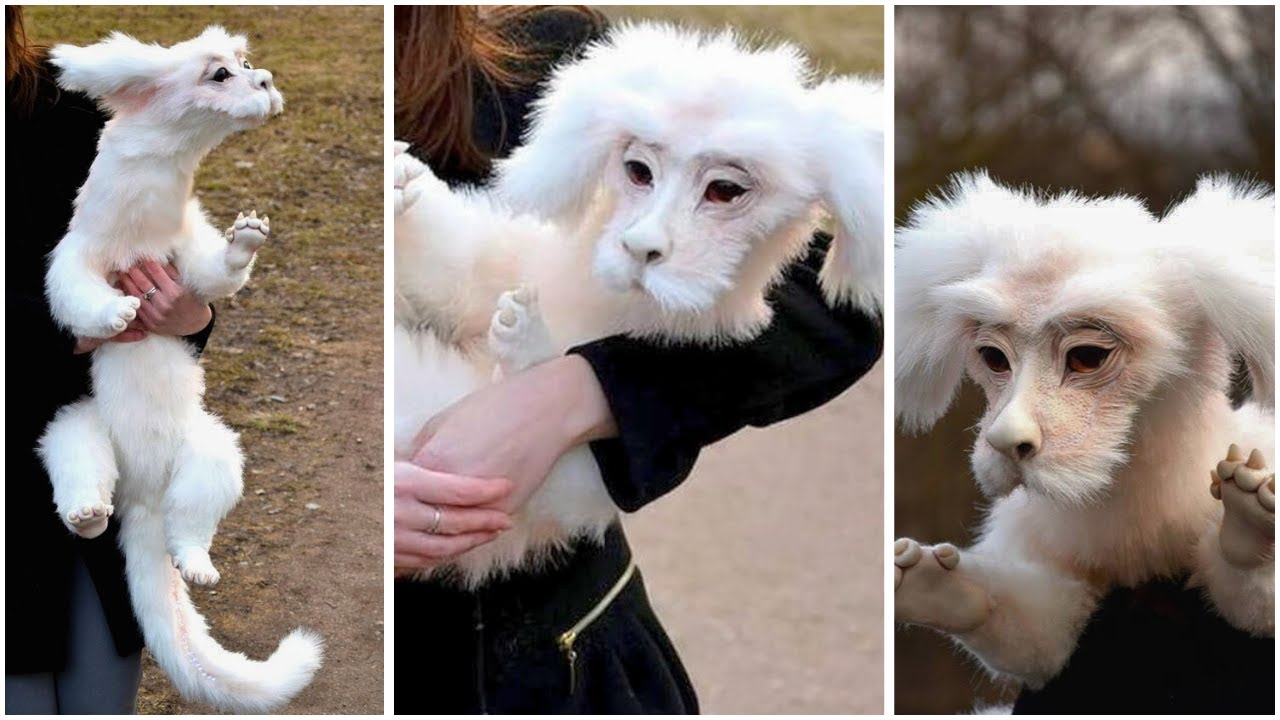 10 Creatures So Bizarre, You Won't Believe They're Real! - YouTube