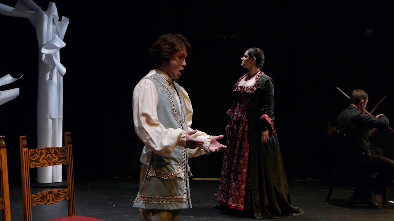 Mozart's Don Giovanni, Il Mio tesoro - YouTube