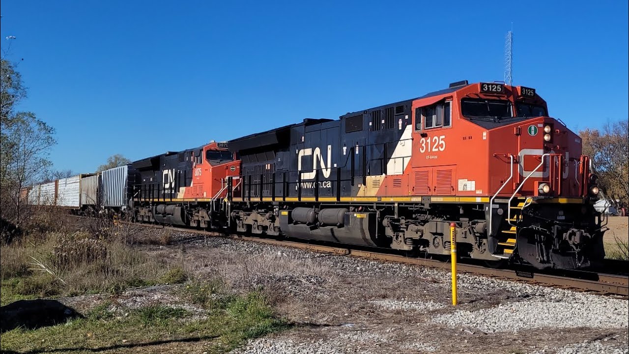 (Train Meet) CN 396 - 3125 & 3075 And CN 301 - 8902 & BC Rail 4651 In ...
