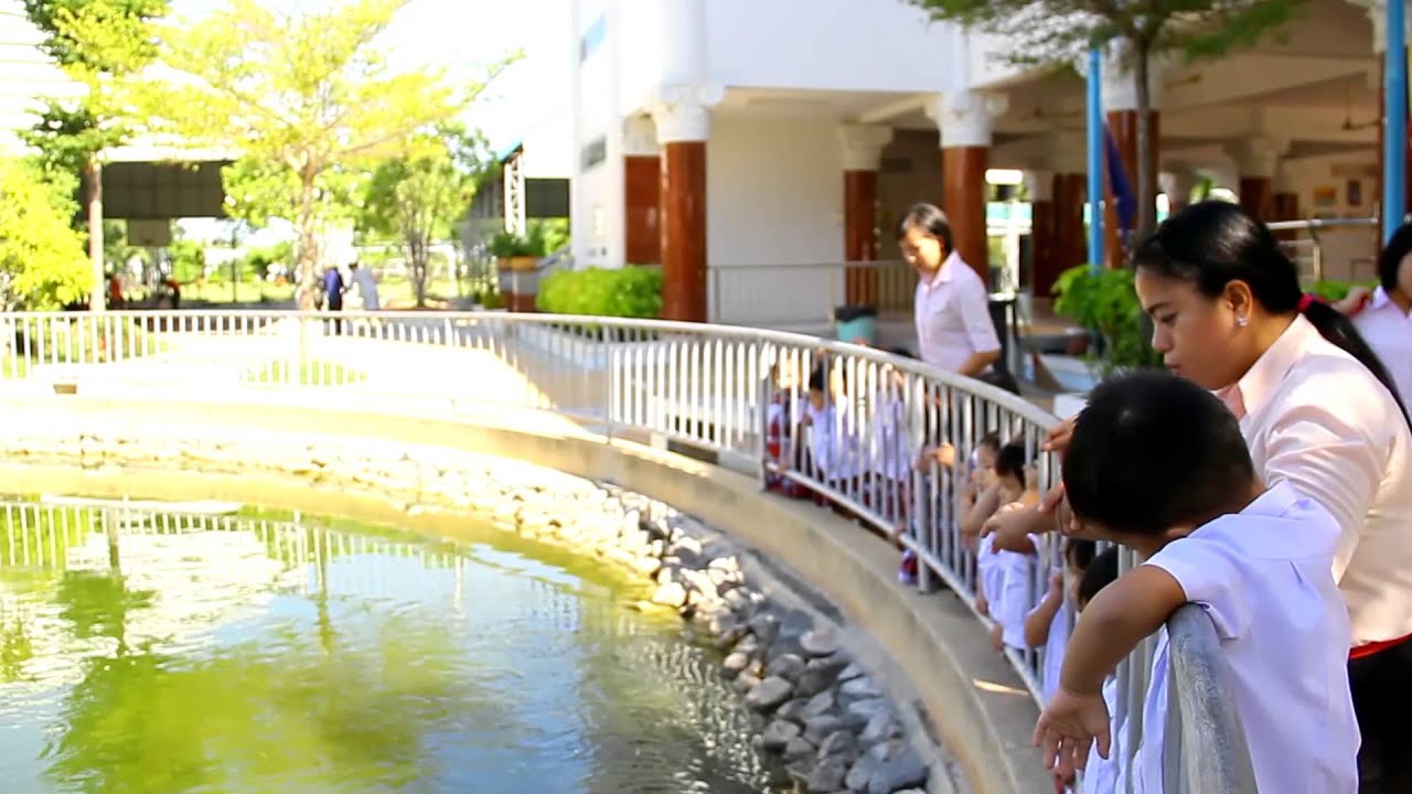 Parents Observation Day 2013 Presentation Nursery 1/2 โรงเรียนสารสาสน์ ...