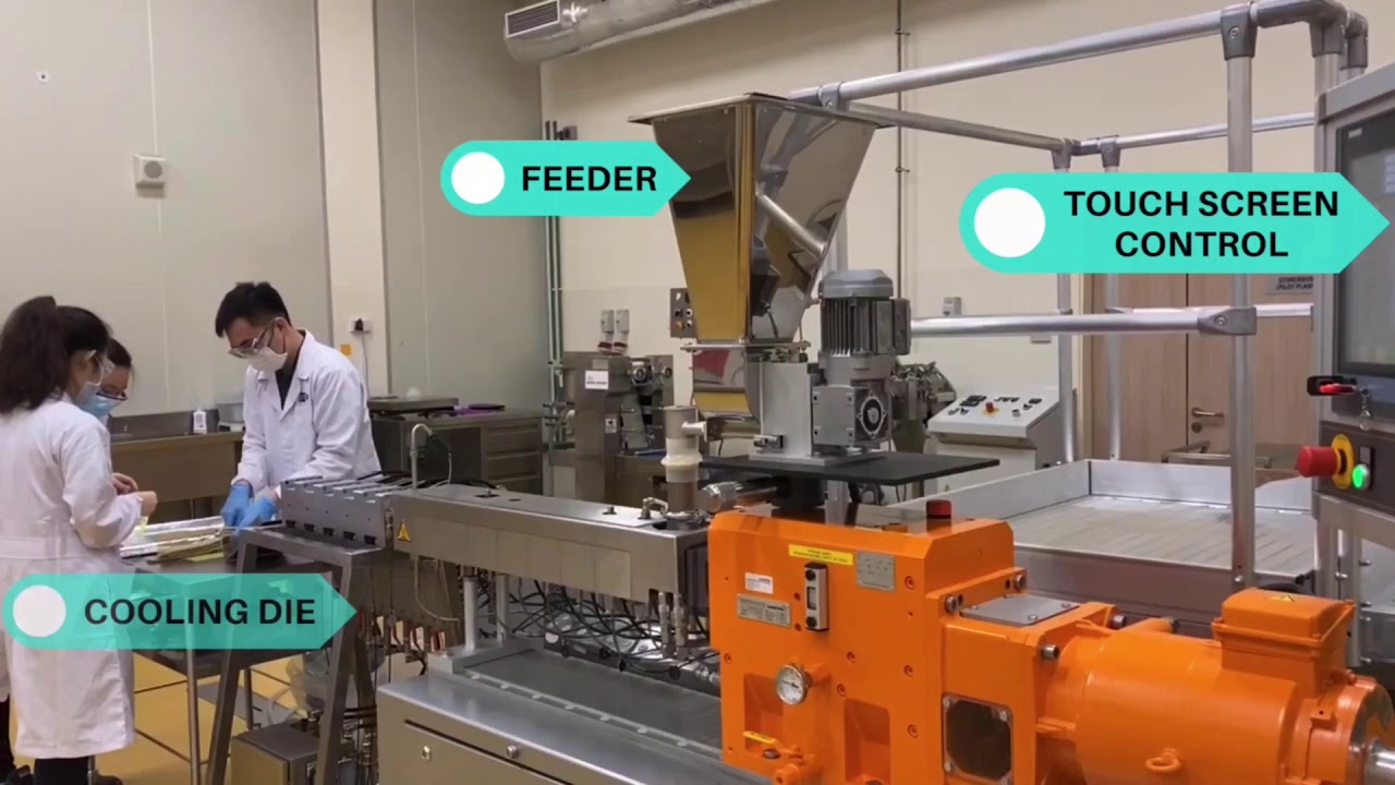 Plant based protein application from Leistritz Extrusion Technology ...