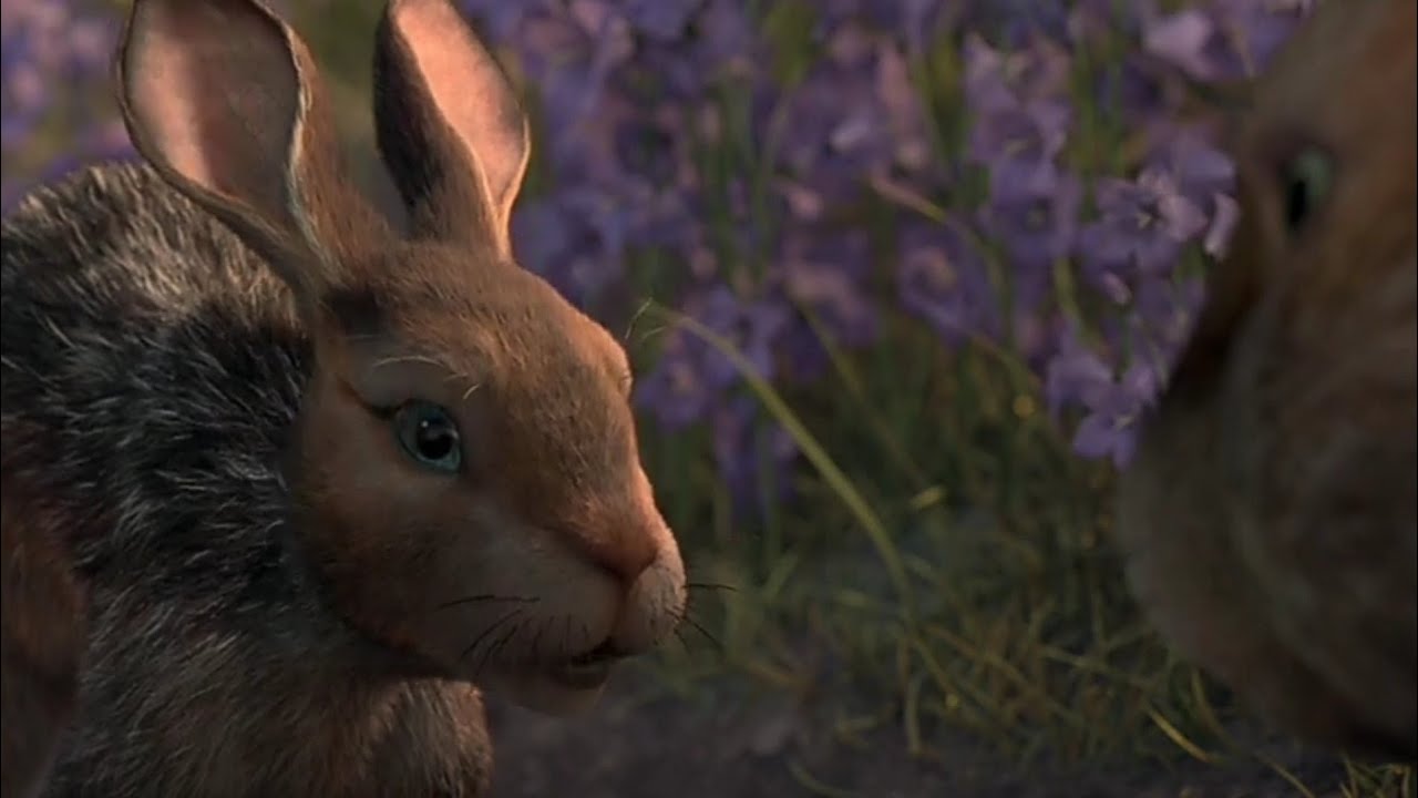 Fiver Watership Down Netflix Part 7 - YouTube