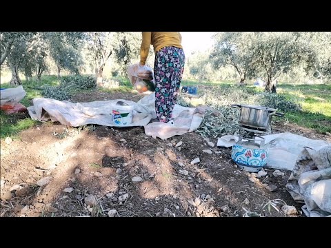 🌱BAHÇEDE ÖBEK ÖBEK ÇIKAN MANTARLAR ✅BAHÇEDE SABAH KAHVALTIMIZ ÖĞLE YEMEĞİMİZ