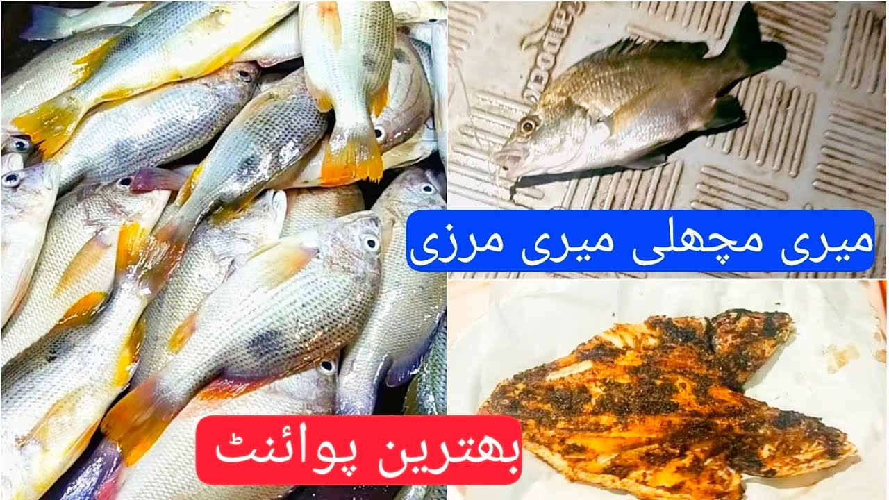 kemari fishing ! kemari fishing point ! kemari fish market ! kemari par ...