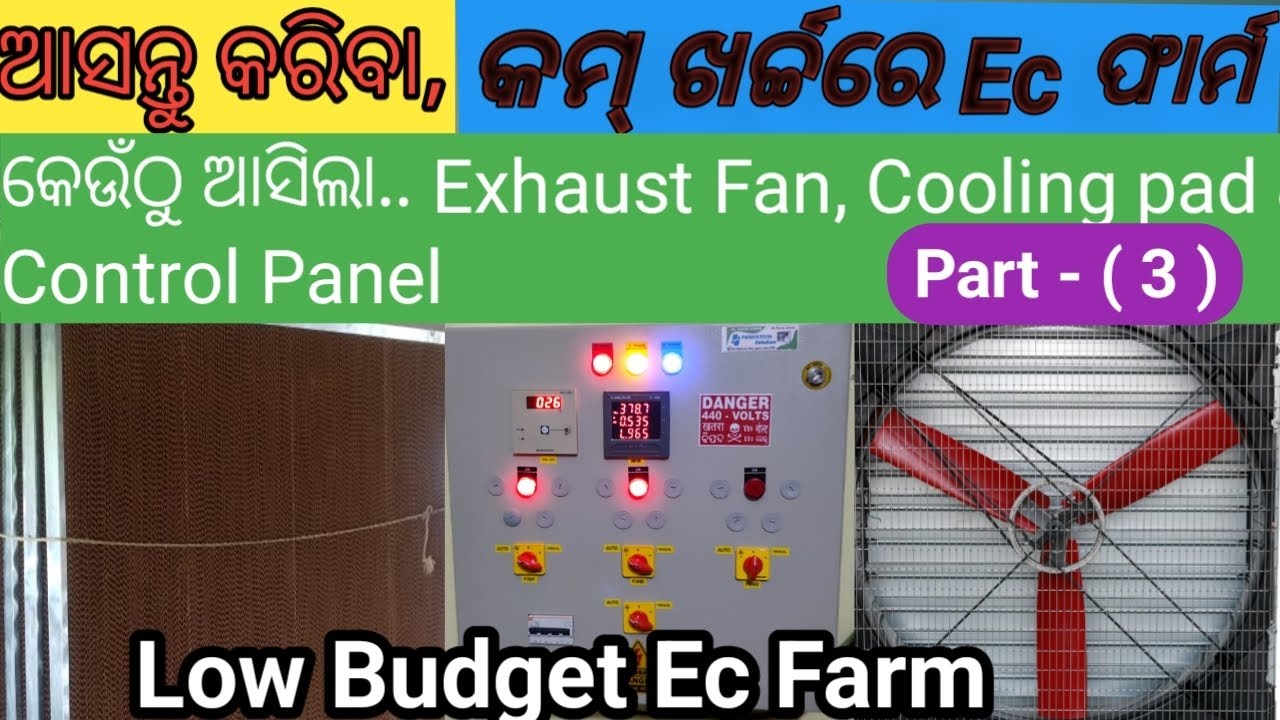 କମ ଖର୍ଚ୍ଚ ରେ Ec ଫାର୍ମ // Poultry farm // Low Budget Ec Farm // Odissa ...