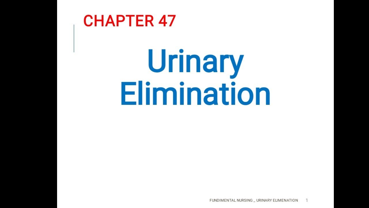 Fundamental. |. Urinary Elimination - YouTube