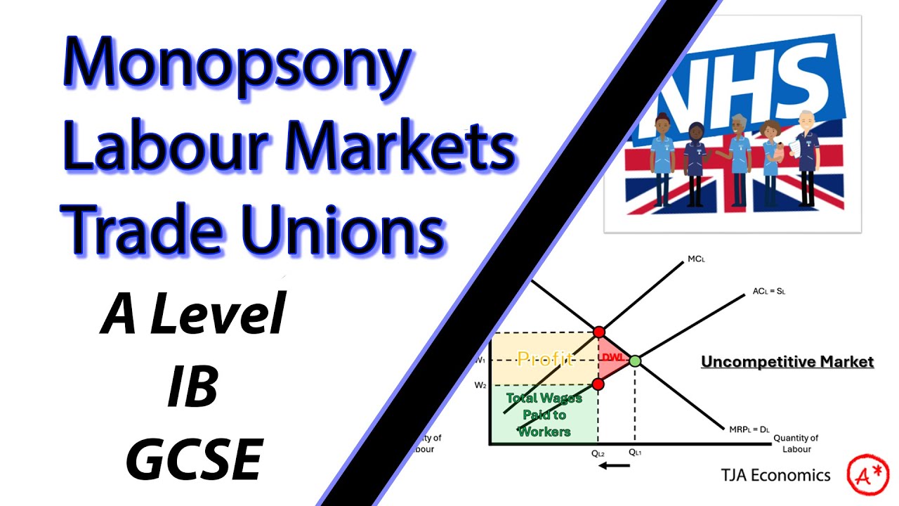 Monopsony, Labour Markets and Trade Unions | A Level, IB and GCSE ...