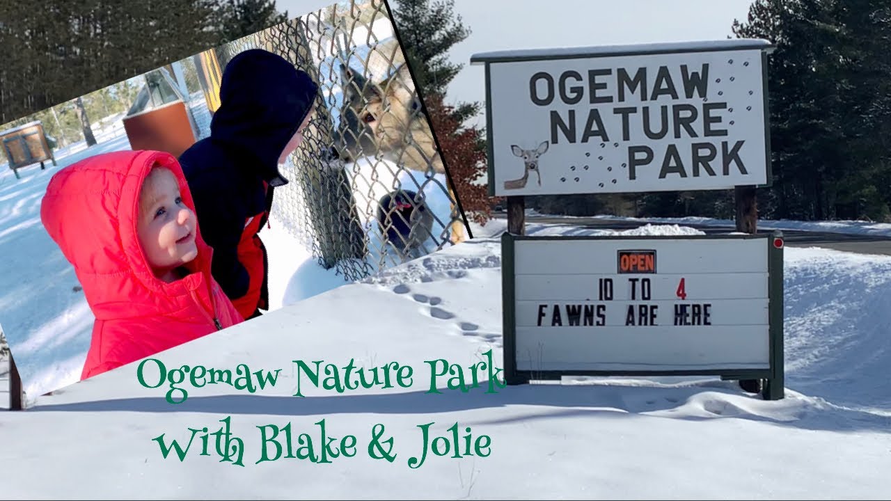Ogemaw Nature Park - YouTube
