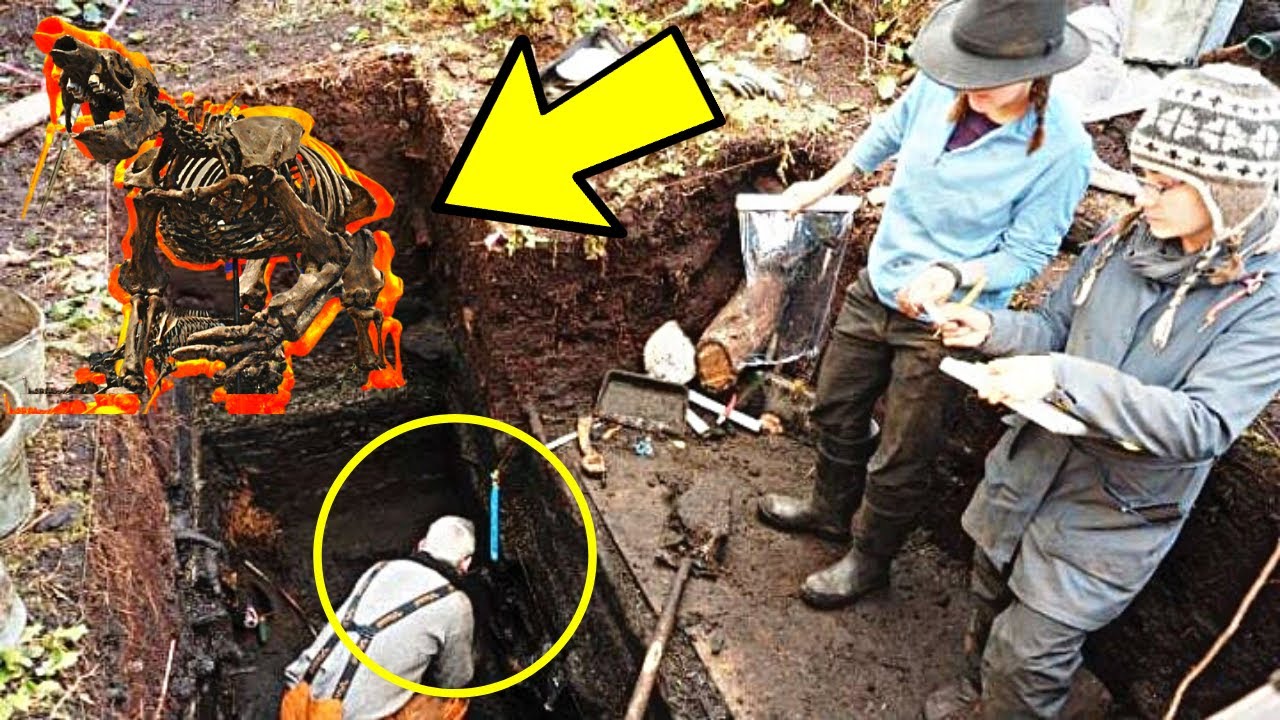 Archeologists Made A Discovery In The Triquet Island Only To Change The ...