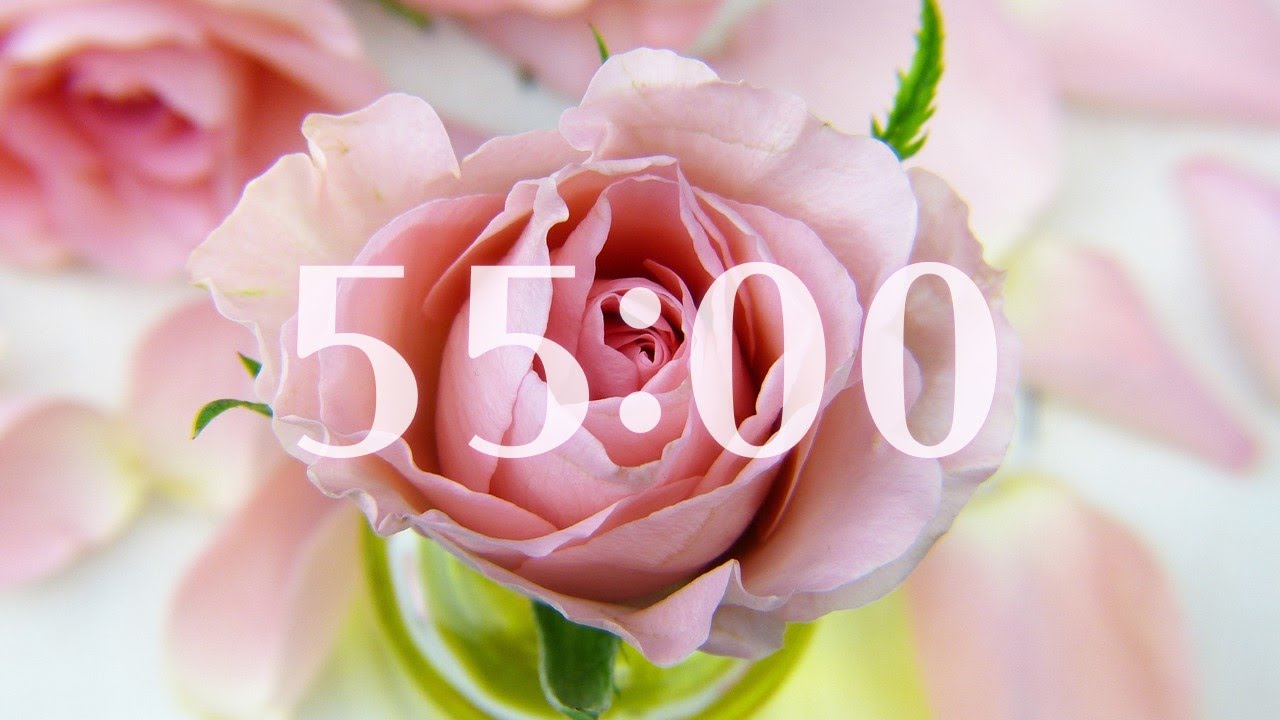 55 Minute Timer - Pink Flowers - YouTube